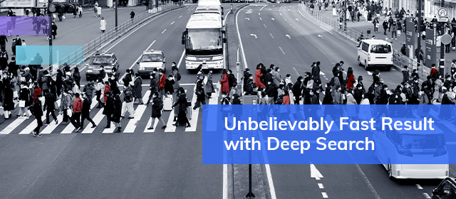 VIVOTEK - Deep Search - AI-Driven Solutions